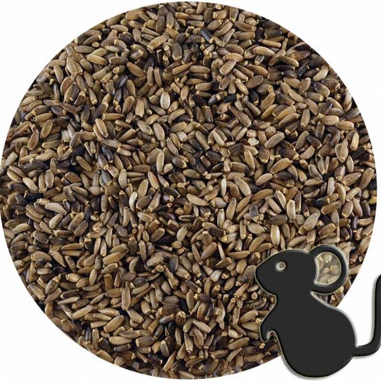 Semillas de Cardo Mariano 150g | La Pradera Online